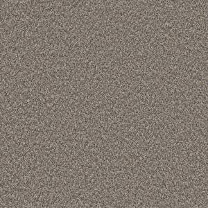 Home Decorators Collection 8 in. x 8 in. Texture Carpet Sample - Piece ...