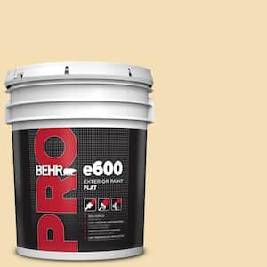 BEHR PRO 5 gal. #PPU6-12 Calla Low Luster Exterior Paint PR62005 - The ...