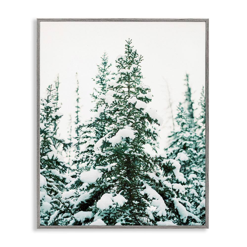 Stupell Industries Woodland Fir with Snow by Justine Milton 1 Piece Framed Graphic Print Nature ...
