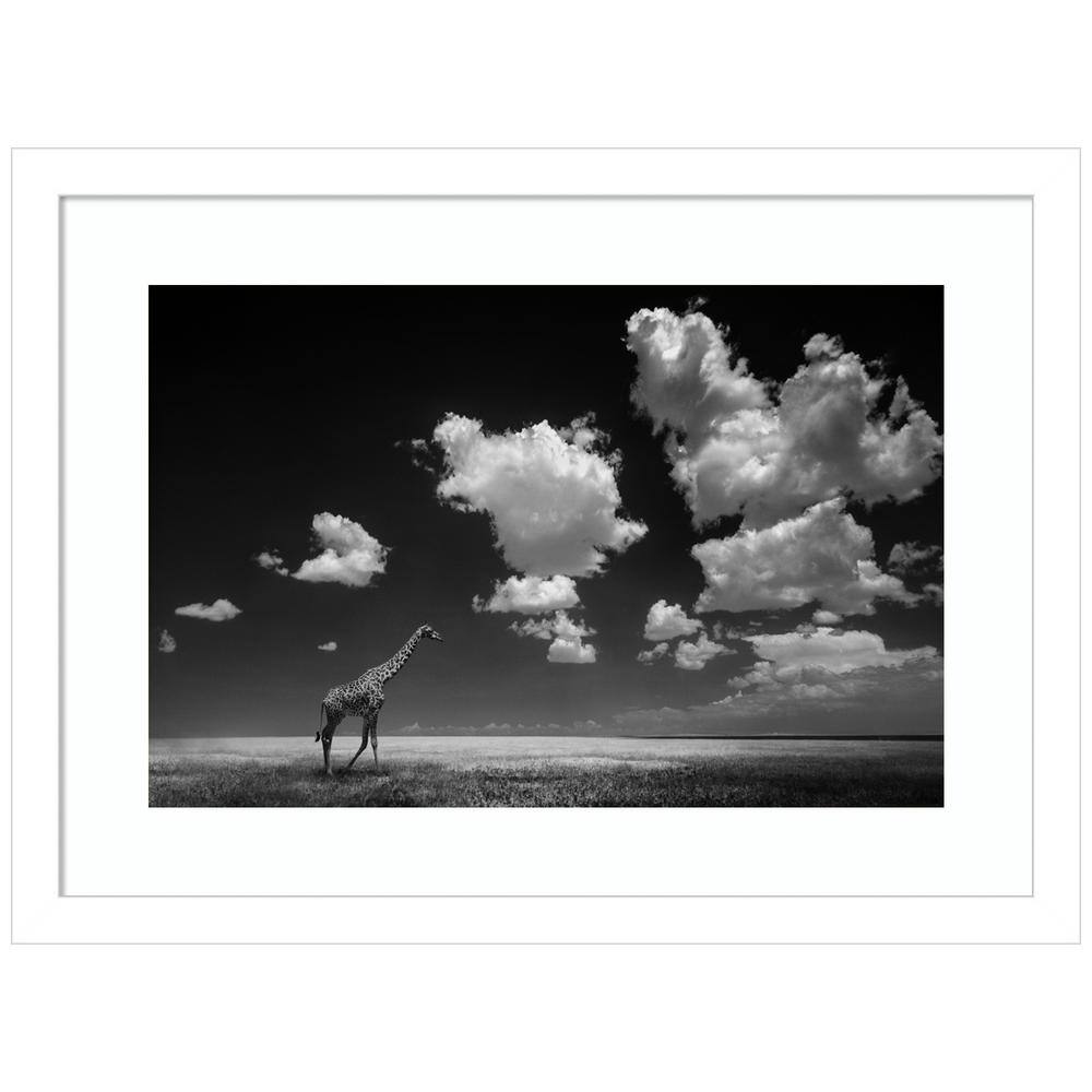Amanti Art "Giraffe Goneith the Clouds" 1-Piece Framed Black and White ...