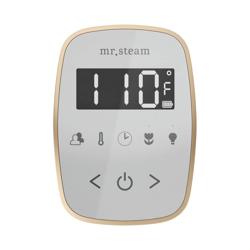Mr. Steam ButlerTouch Steam Shower Control Package with TempoTouch ...