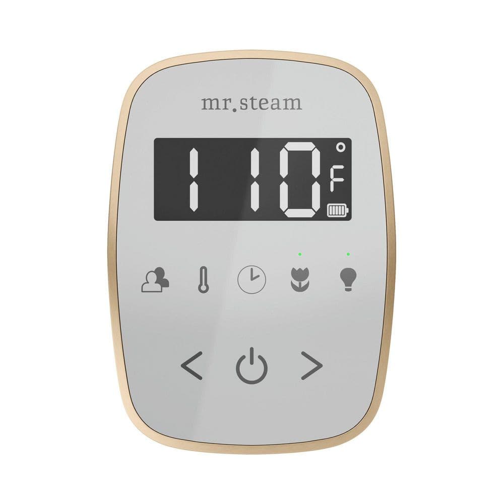 Mr. Steam ButlerFlex Max Steam Shower Control Package with TempoFlex ...