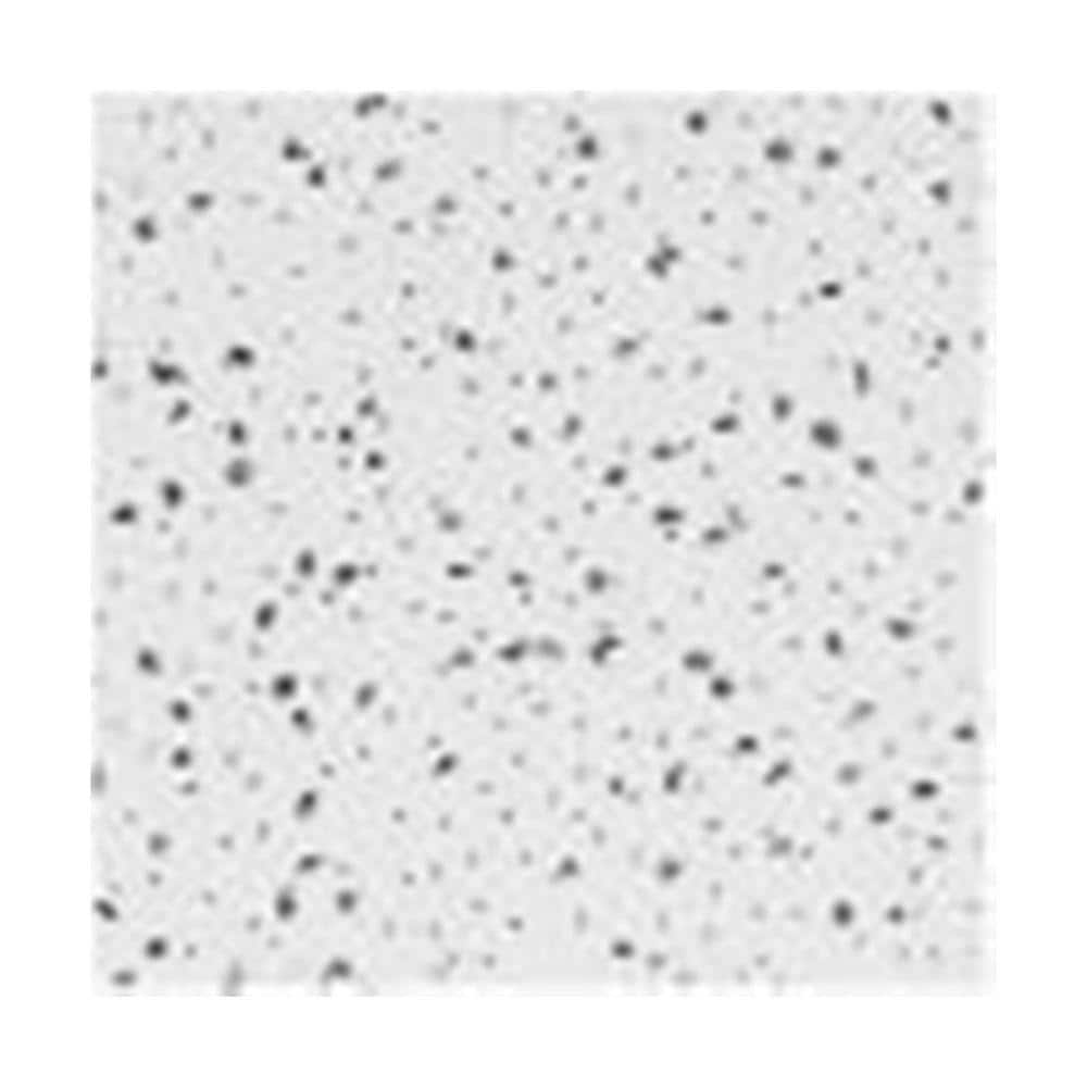 USG Ceilings Radar R2110 2 ft. x 2 ft. Lay-in Acoustical Ceiling Tile ...