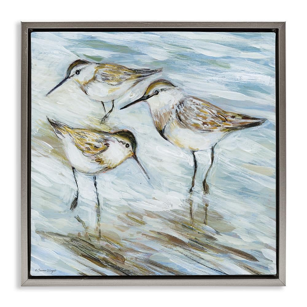 Stupell Industries Wetlands Sandpiper Trio by Susan Winget 1 Piece Gray ...