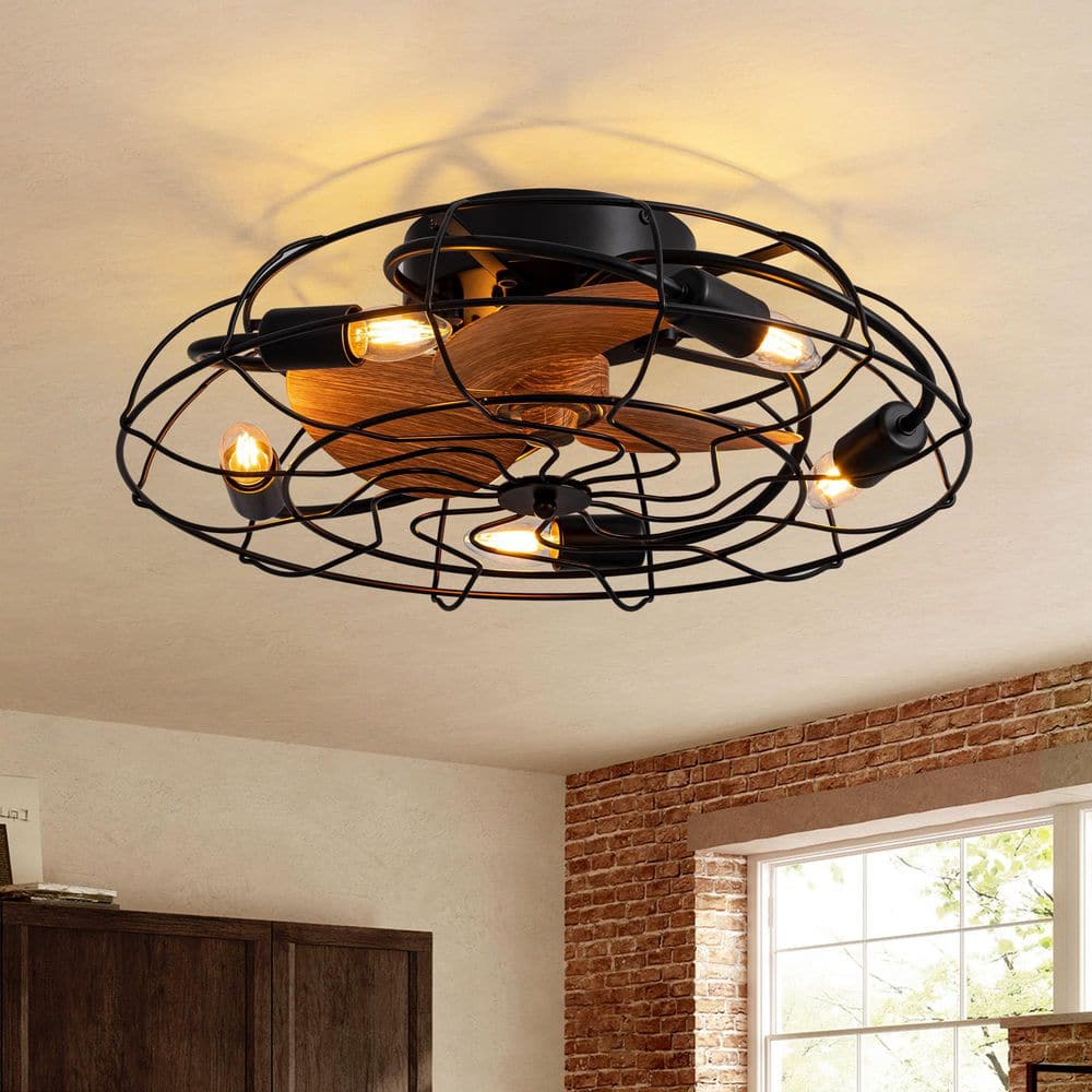WDETR 22 in. Indoor Black Caged Ceiling Fan with Light and Remote for ...