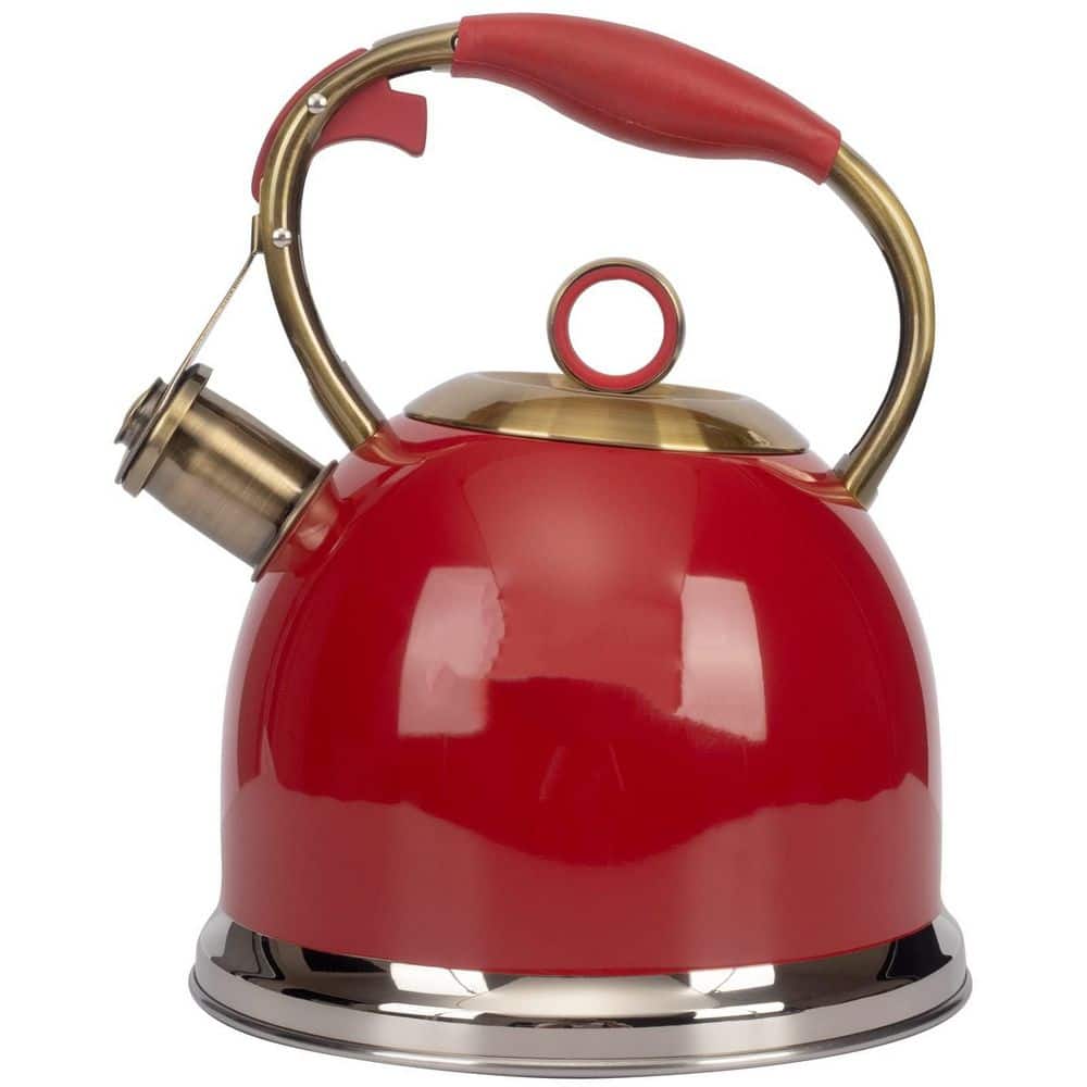 Wudkey 10-Cup Food Grade Stainless Steel Induction Stovetop Tea Kettle ...