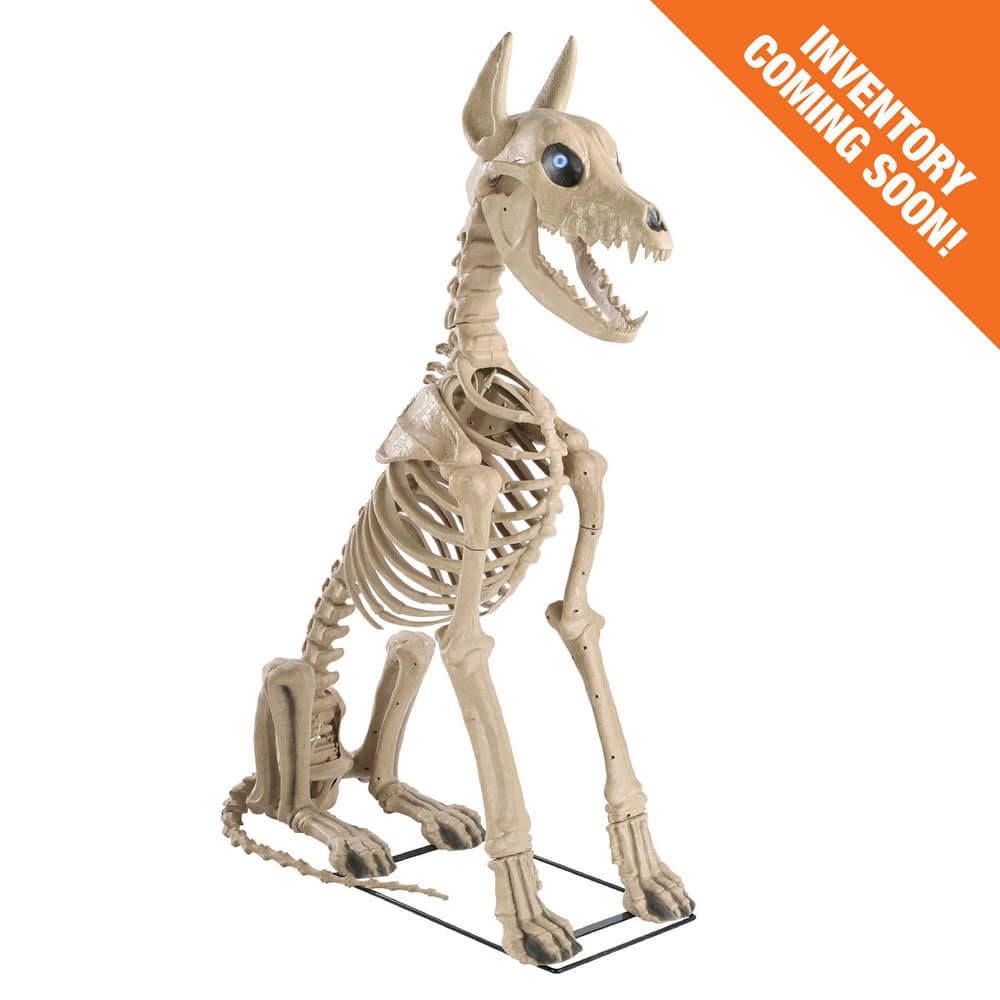 Reviews for Home Accents Holiday 5 ft. Grave & Bones Skelly's Sitting Dog with LifeEyes™ LCD ...