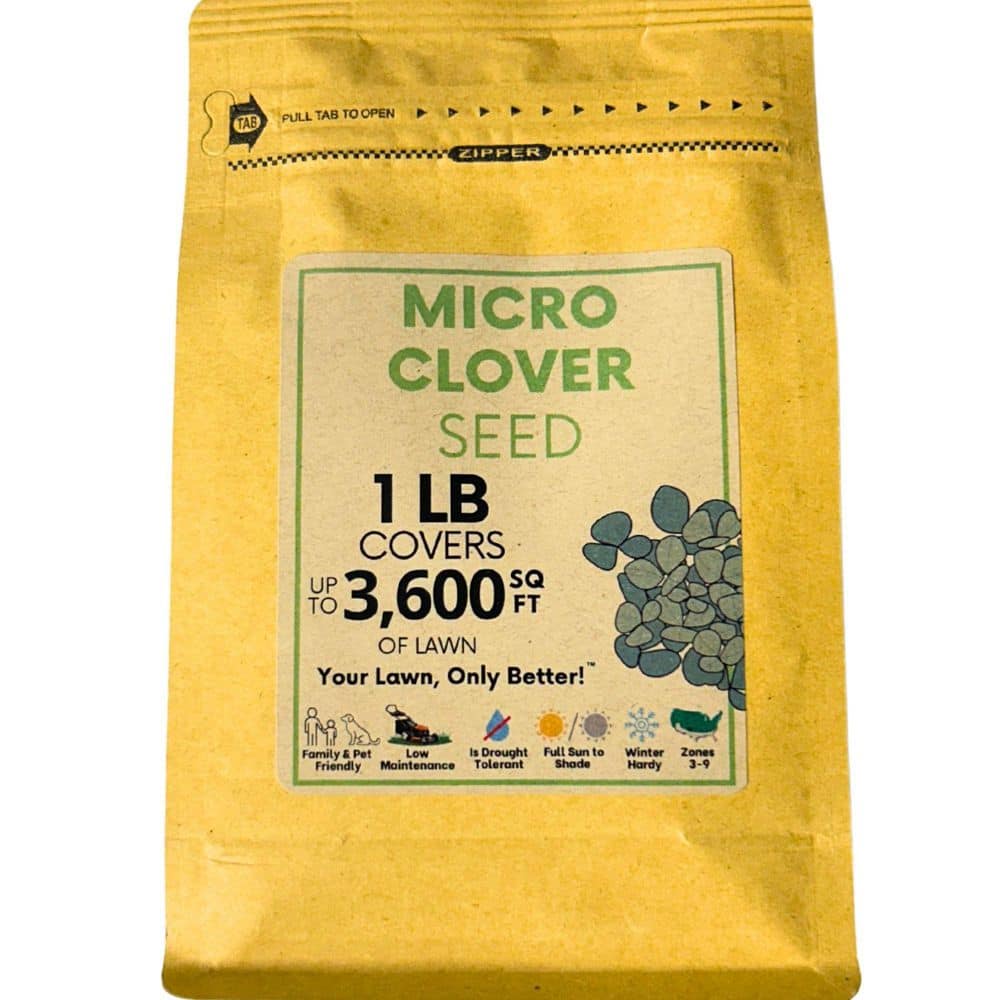 Flawn Seed Kits Micro Clover Seed 1 Lb, Organic Coated, Eco-Friendly ...