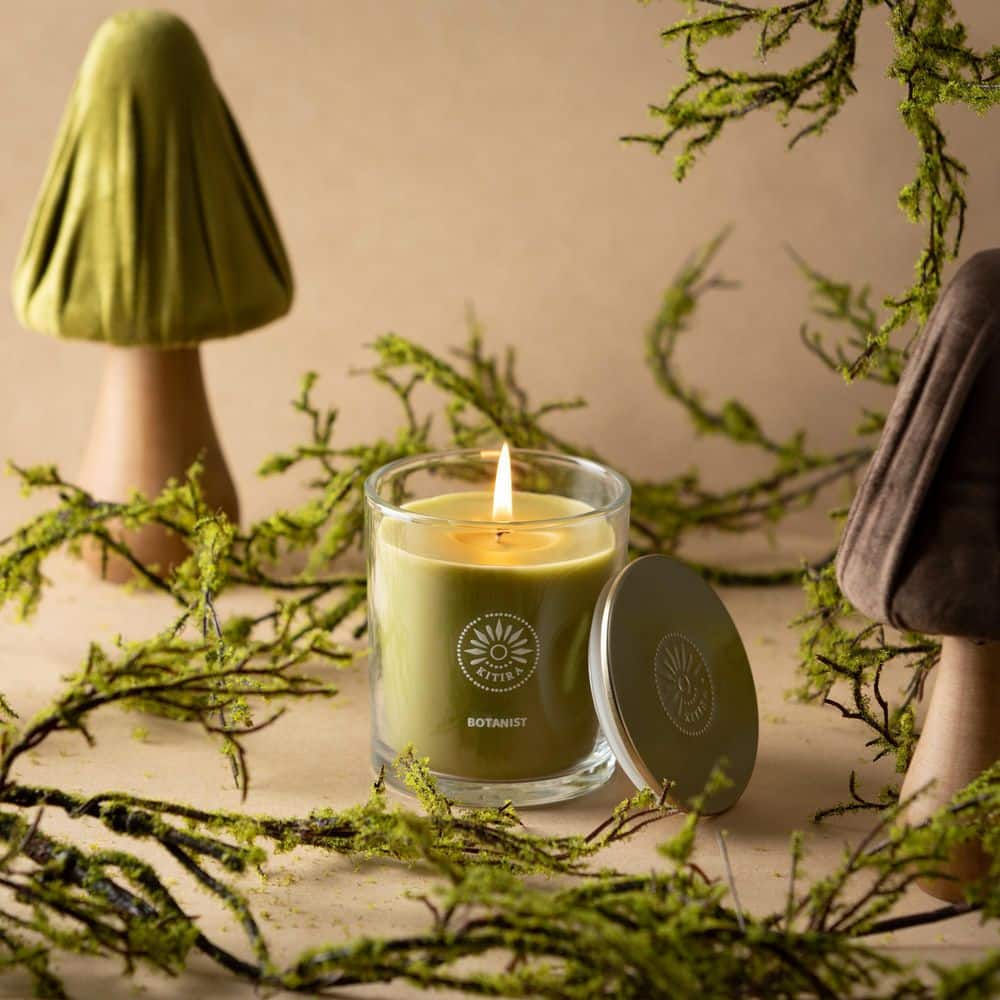 Vance Kitira Botanist Pear and Citrus Scented Single Wick Green Jar ...
