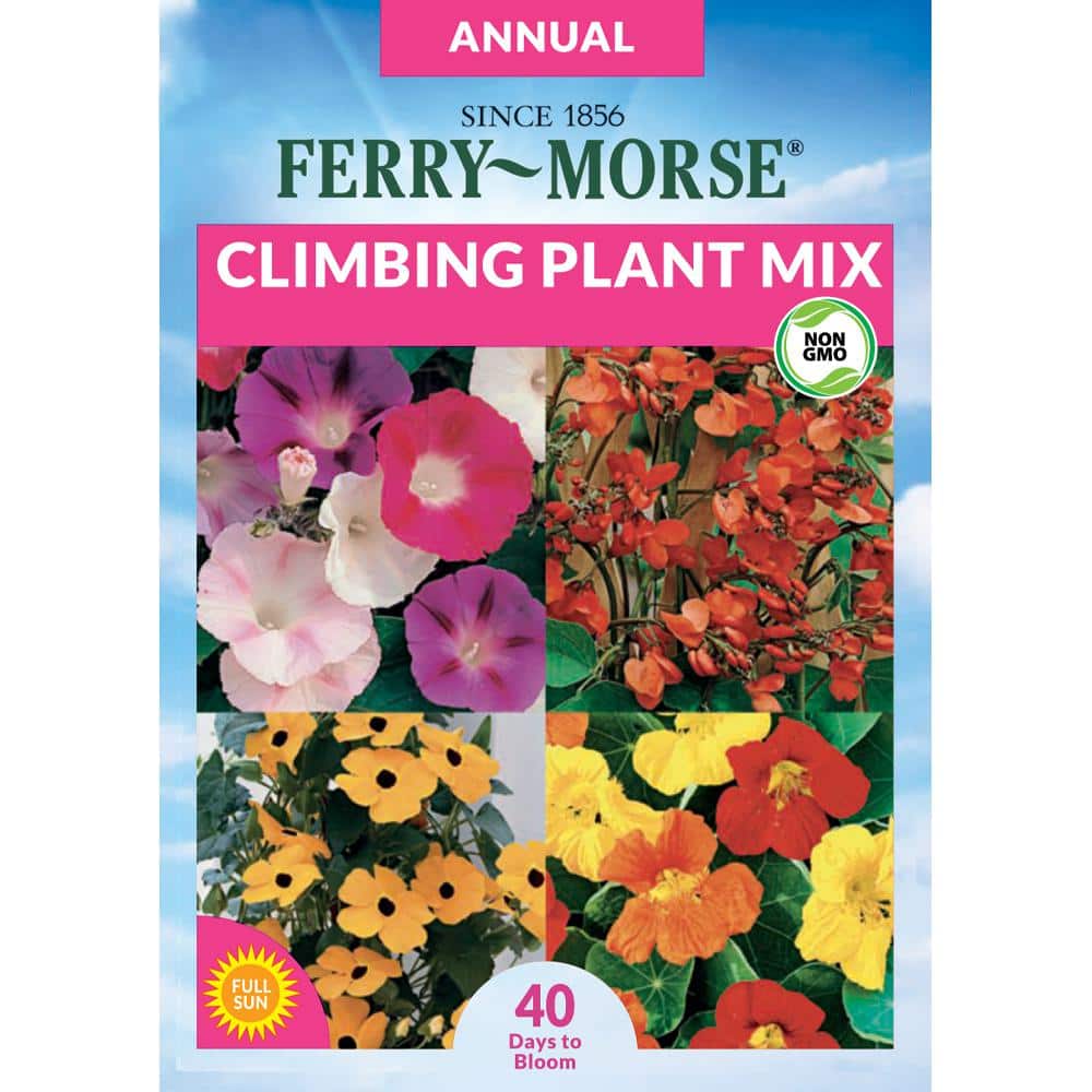 Ferry-Morse Climbing Plant Mix Flower Seeds 2767 - The Home Depot