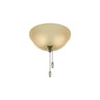 Hunter 3-Light Bronze Ceiling Fan Bowl LED Light Kit 99365 - The Home Depot