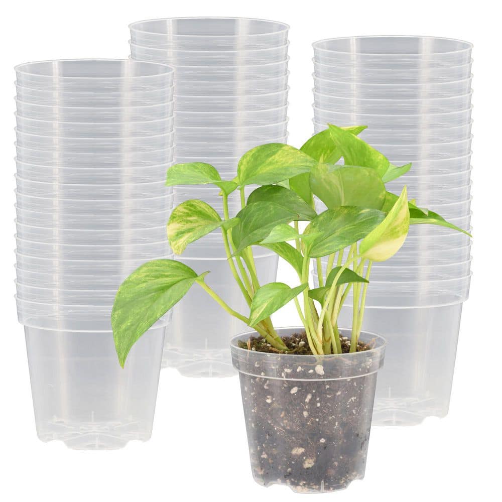 Arcadia Garden Products 4 in. Clear Plastic Standard Grow Pot (50-Pack ...