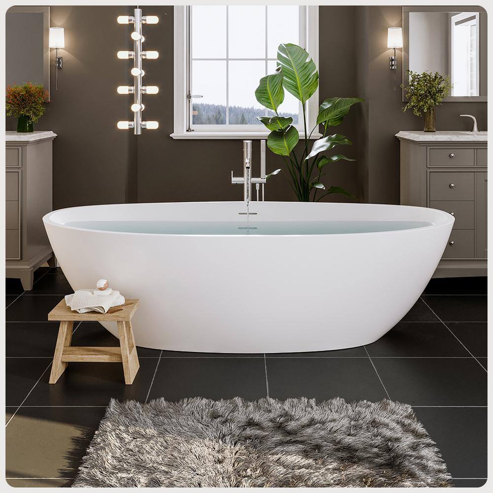 Eviva Mirage 65 in. x 30 in. Soaking Bathtub with Center Drain in White ...
