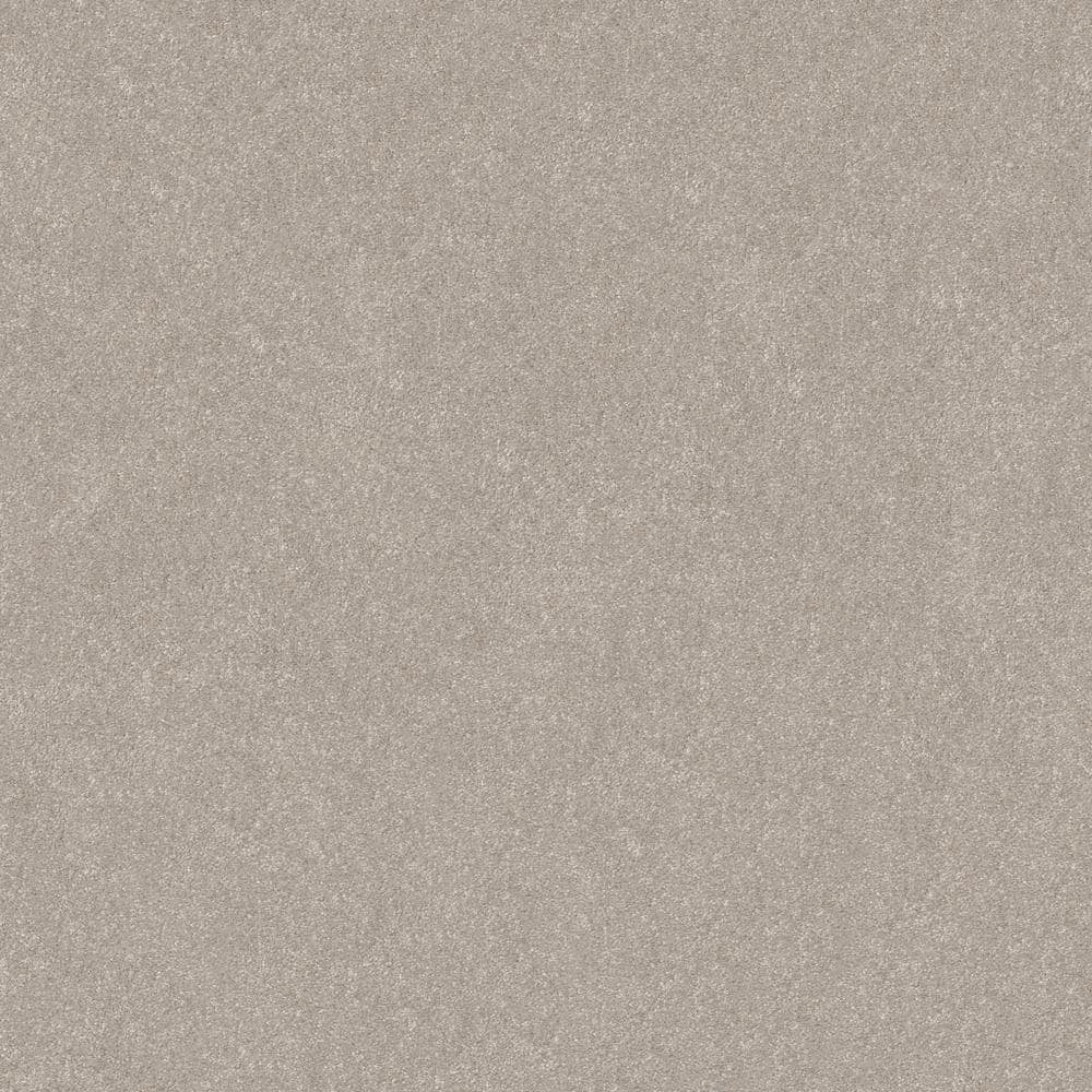 Reviews for Lifeproof Blakely III - Beluga-Beige 12 ft. 66 oz. High Performance Polyester ...