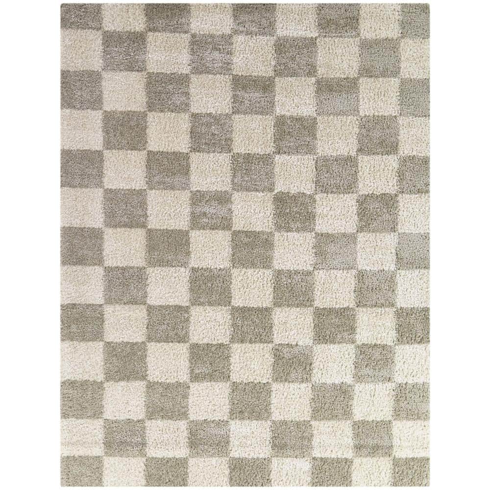 StyleWell Harley Beige 5 ft. 3 in. x 7 ft. Checkered Area Rug 3123459 ...