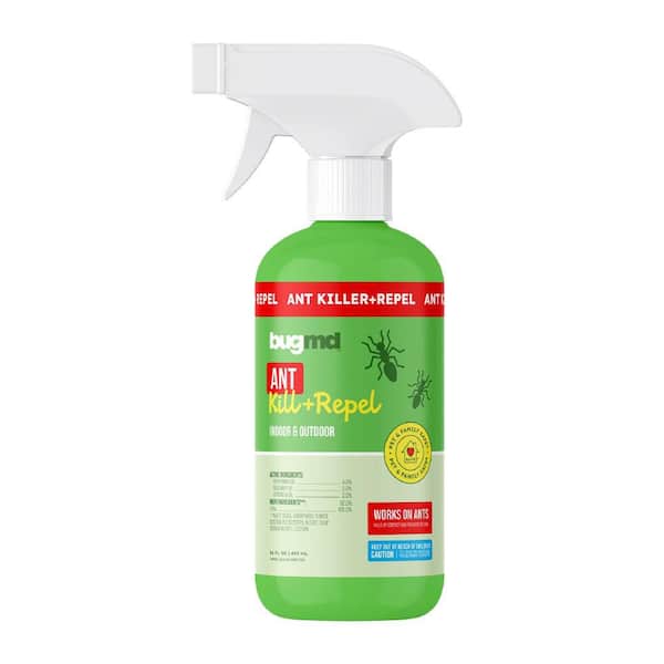 BUGMD Essential Pest Control 16 oz. Ready to Use Insect Killer and ...