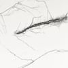 Ivy Hill Tile Magnus Breach 23.62 in. x 47.24 in. Polished Porcelain ...