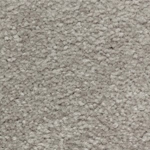 Lifeproof 8 in. x 8 in. Texture Carpet Sample - Mason I -Color Seastone ...