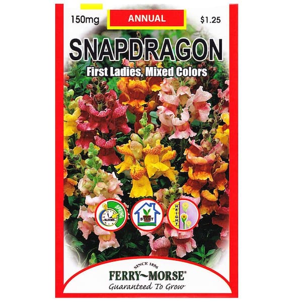 Ferry-Morse Snapdragon First Ladies Seed 8052 - The Home Depot