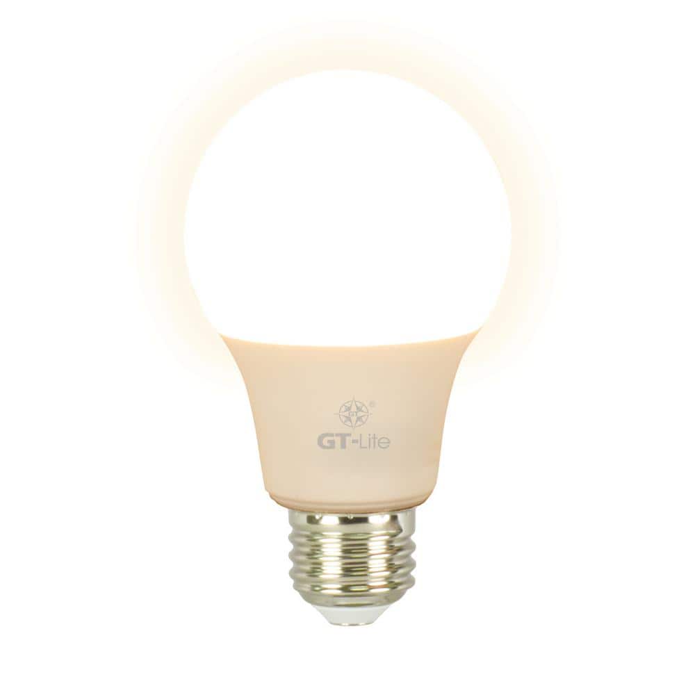 GT GT-Lite 100-Watt Equivalent A19 3-Way LED Light Bulb 5000K in Soft White by a switch to ...