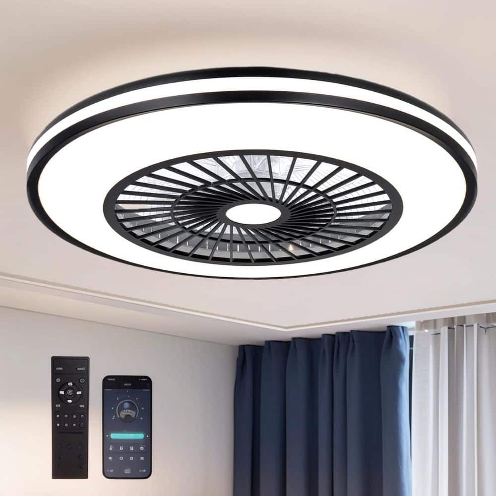 ARISKEEN 22 in. Indoor Black Cage Ceiling Fan with Lights and Remote ...