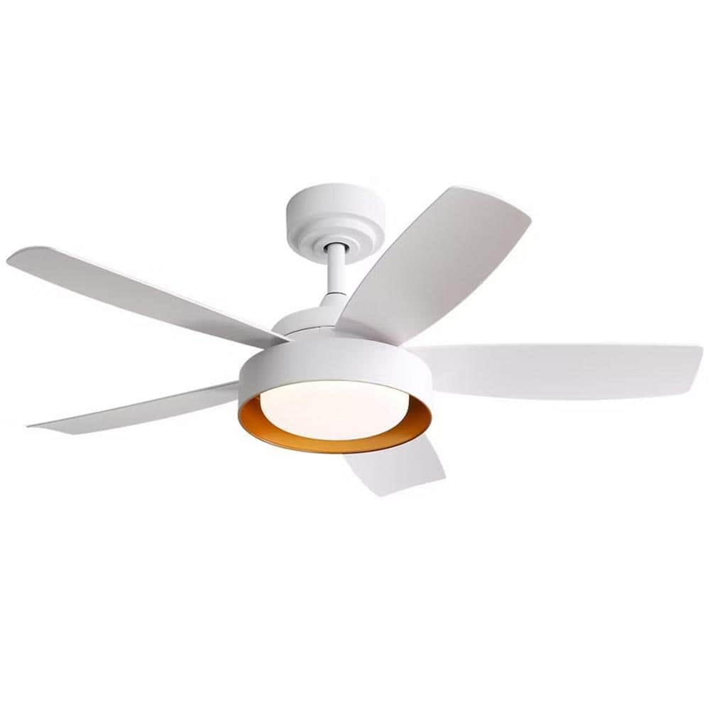 Sofucor 42 in. Indoor Modern 5 ABS Blade White Downrod Ceiling Fan with ...