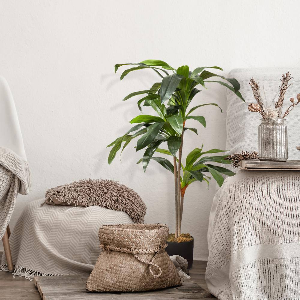 FOREVER LEAF 45 in. Faux Dracaena Plants Indoor Floor Plants for Living Room Decor FL02106 - The ...