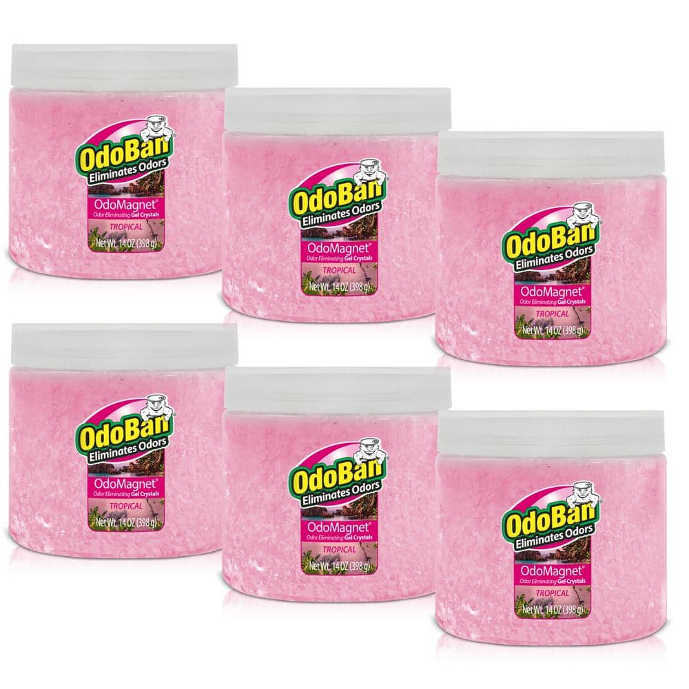 OdoBan 14 oz. OdoMagnet Odor Removing Gel Crystals, Odor Absorber and ...