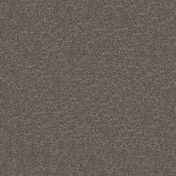 TrafficMaster 8 in. x 8 in. Texture Carpet Sample - Cuddle Cakes III ...