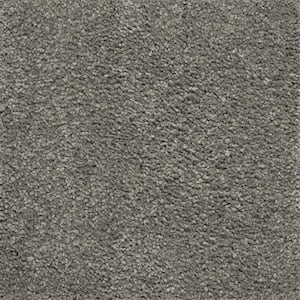 Mohawk 8 in. x 8 in. Texture Carpet Sample - Appreciate I - Color Bliss ...