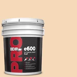 BEHR PRO 5 gal. #M250-2 Golden Pastel Low Luster Exterior Paint PR62005 ...