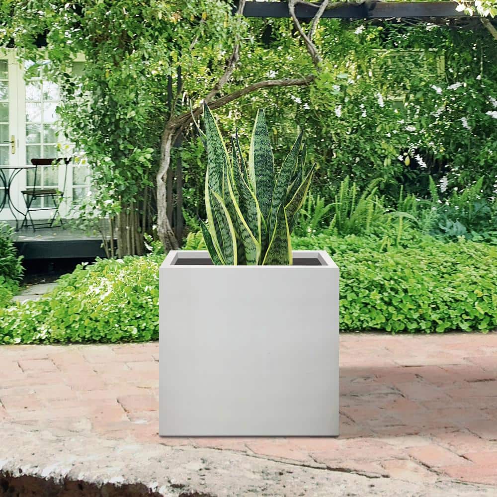 PLANTARA 16 in. L Square Solid White Concrete Plant Pot, Modern Planter ...