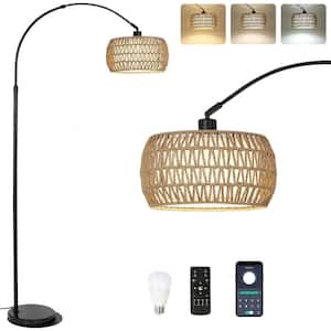 Silverwood Furniture Reimagined Cyndi 70" Hangover Floor Lamp with ...