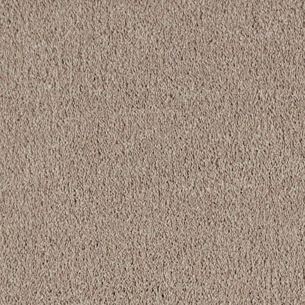 Lifeproof with Petproof Technology 8 in. x 8 in. Texture Carpet Sample ...