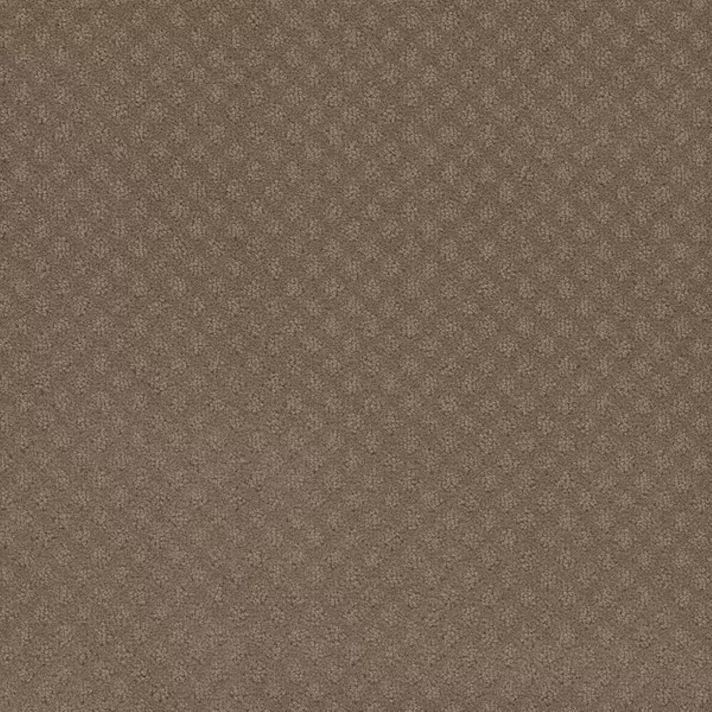 TrafficMaster 8 in. x 8 in. Pattern Carpet Sample-Bell Loop-Color ...
