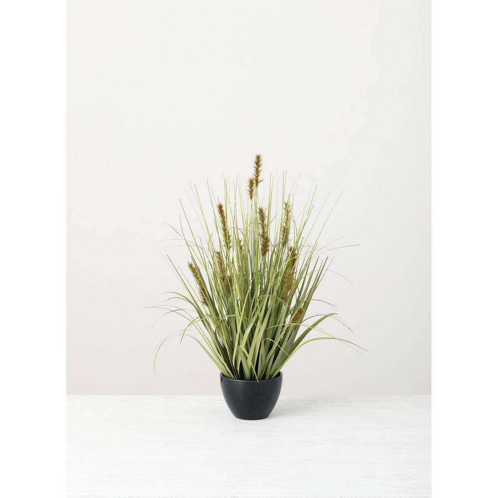 SULLIVANS Artificial 24 in. Potted Wild Grass 0604T - The Home Depot