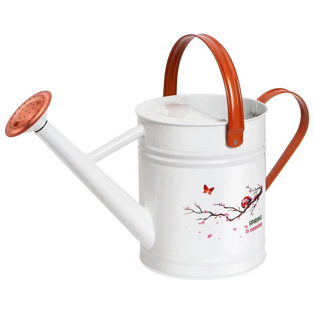 Dyiom 1 Gal. Red and White Metal Plant Watering Can with Cute Pattern ...