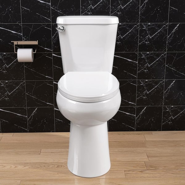 NTQ 12 in. Rough-in 2-Piece Toilets 1.28 GPF Single Flush Elongated 21 ...