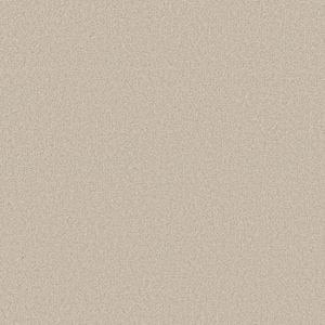 Lifeproof 8 in. x 8 in. Texture Carpet Sample - Coastal Charm I -Color ...