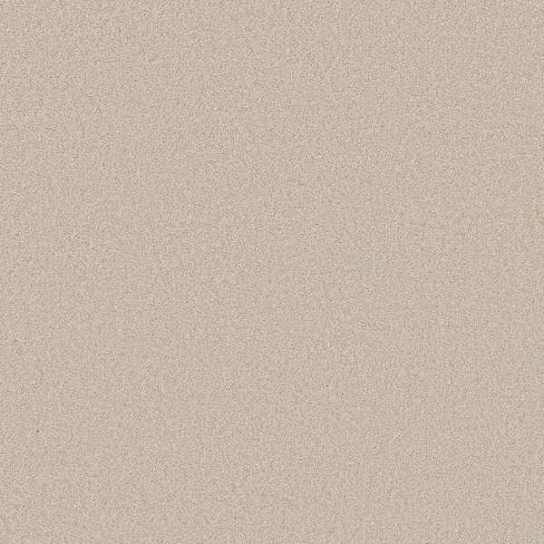 Lifeproof 8 in. x 8 in. Texture Carpet Sample - Coastal Charm I -Color ...