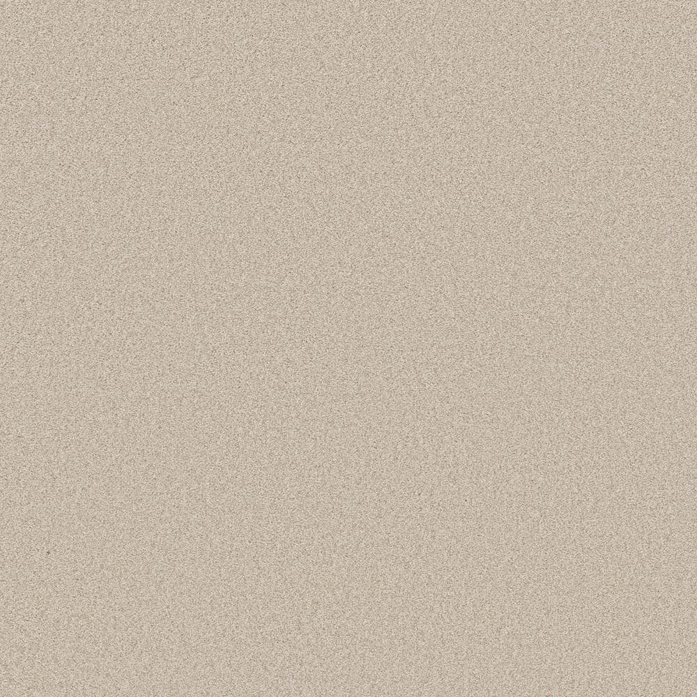 Lifeproof 8 in. x 8 in. Texture Carpet Sample - Coastal Charm II -Color ...