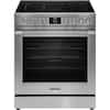 Frigidaire Professional 30 in. 5 Element Slide-In Electric Range in ...