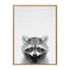 Kate and Laurel Sylvie "Raccoon" by Tai Prints Framed Canvas Wall Art ...