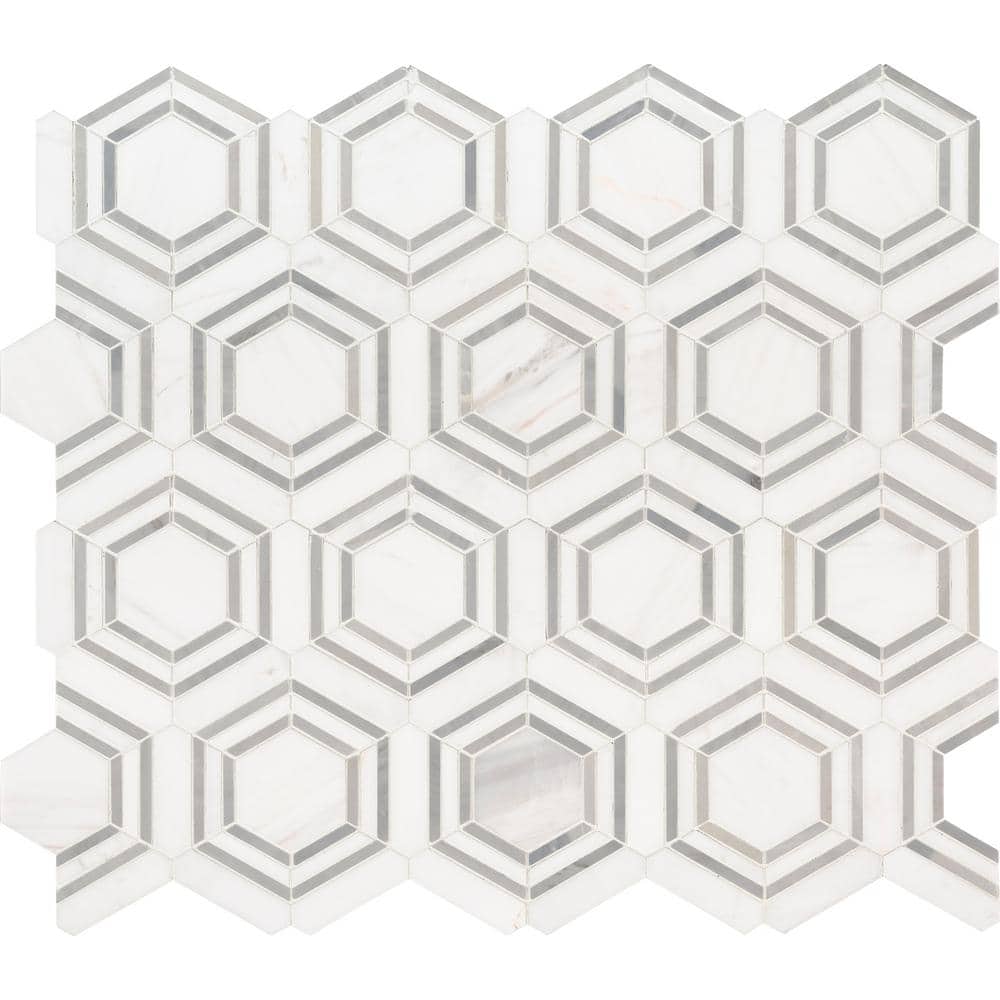 MSI Take Home Tile Sample - Georama Grigio 4 in. x 4 in. Polished ...
