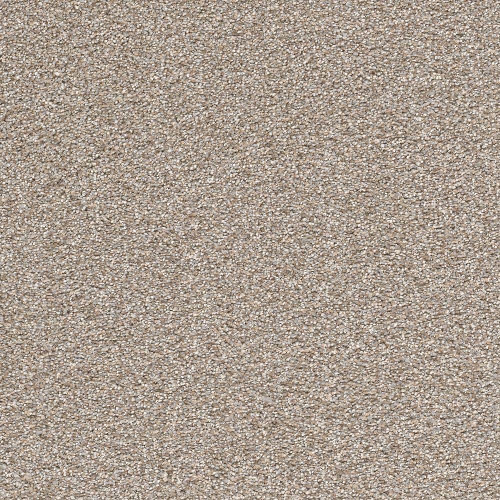 Home Decorators Collection 8 in. x 8 in. Texture Carpet Sample ...