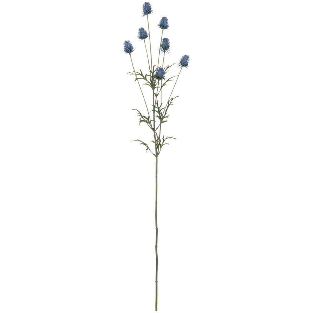 Blue Thistle