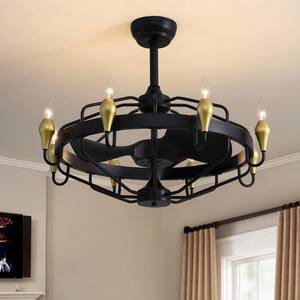 WDETR 27 in. Indoor Bronwn and Black Farmhouse Ceiling Fan with Light ...