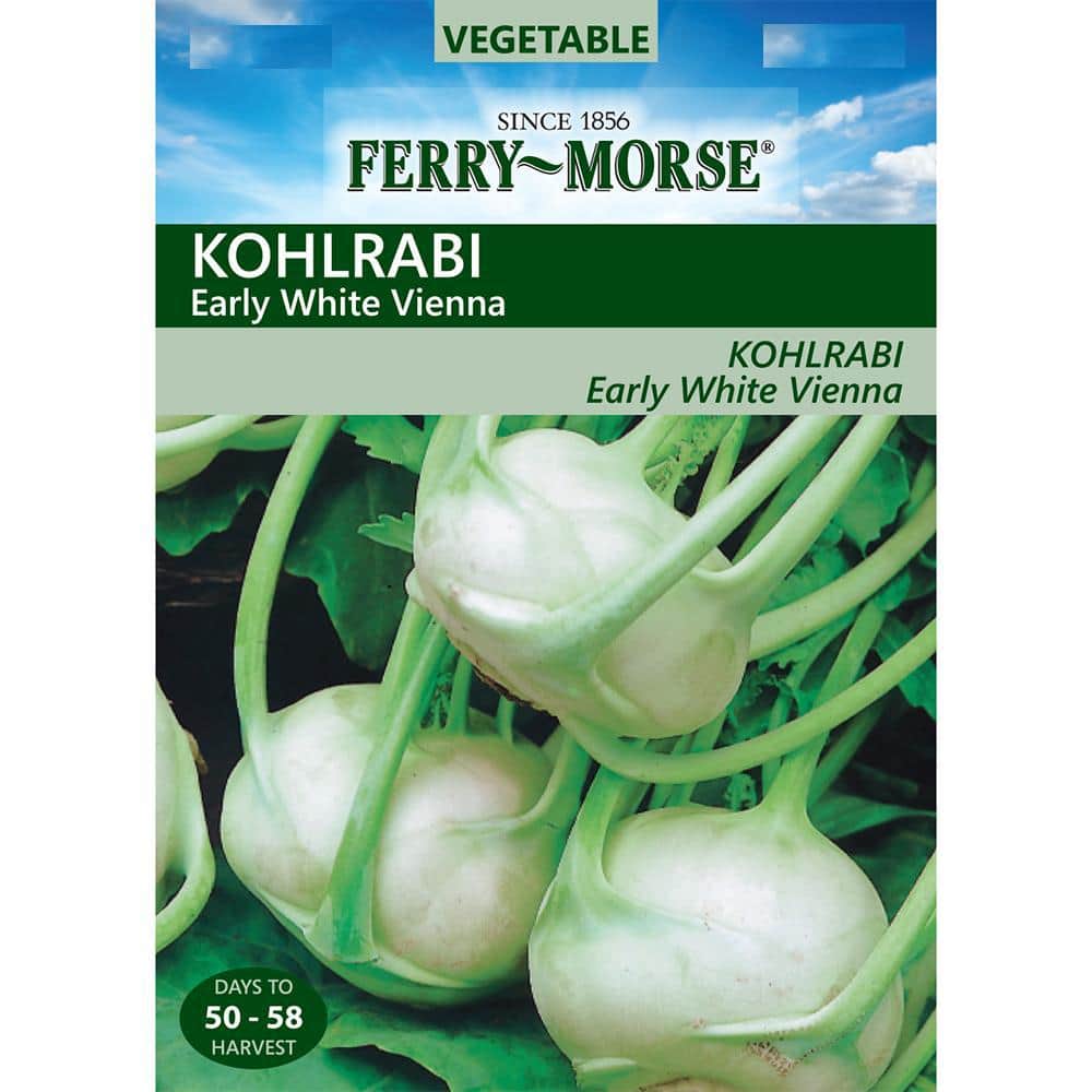 Ferry-Morse Kohlrabi Early White Vienna Vegetable Seed 7372 - The Home ...