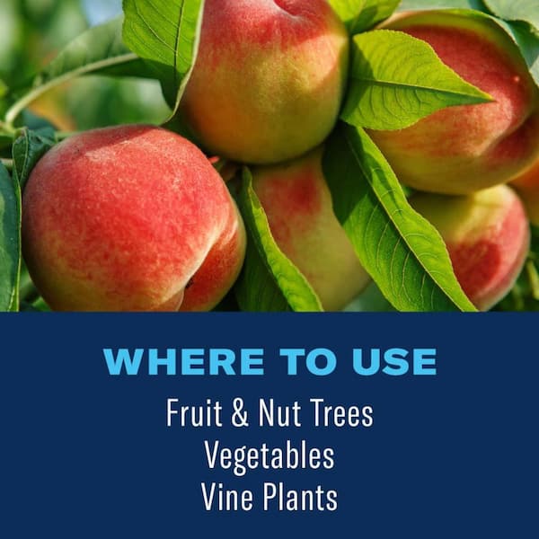 BIOADVANCED 32 oz. Ready To Use Fruit, Citrus and Nut Insect Killer ...