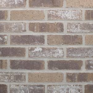 Old Mill Brick 28 in. x 10.5 in. x 0.5 in. Brickwebb Cathedral Thin ...